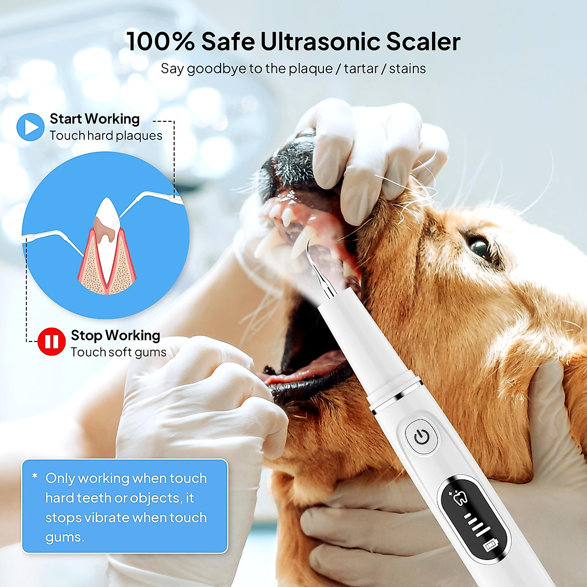 AAU Dog Plaque/Tartar Remover for Teeth - Rechargeable Safe Pets Ultrasonic OLED Screen Tooth Brushing Kit for Canine/Cat/Dog Teeth Cleaning, with Canident Dog Tartar Remover, 3 Replacement Heads
