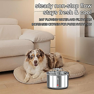 Cat Water Fountain Stainless Steel : 2.5L/85oz Pet Fountain Water Bowl with Strengthen The Filter Element Dog Drinking Dispenser Cat Feeding & Watering Supplies Animal Metal Kitty Spout for Cats