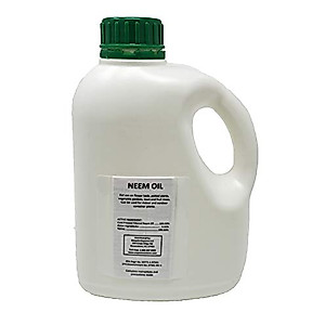 Deepthi Pure Neem Oil for Plants - Concentrated - Cold Pressed - Spray for Indoor Outdoor Garden - 100% Neem Oil – Controls Mildew - 33.8 Fluid Oz (1000 ml)