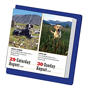 365 Dogs Page-A-Day Calendar 2020
