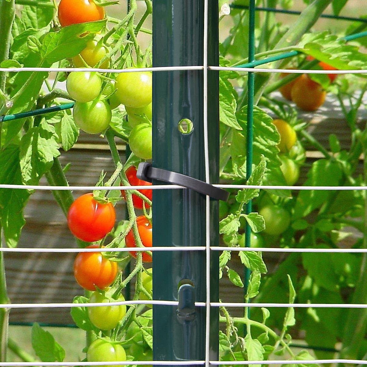 MTB Metal Fence Post Fence U Post Green 4 Feet, Pack of 5, for Garden Wire Fence U-Channel Steel Garden Post Sign Post