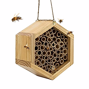 KIBAGA Mason Bee House - Handmade Natural Bamboo Bee Hive Attracts Peaceful Bee Pollinators to Enhance Your Garden's Productivity - The for Garden Lovers