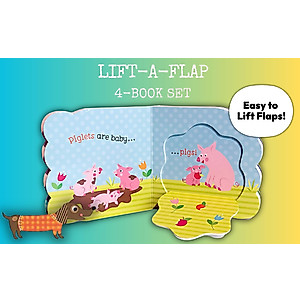 4 Pack Babies Love Learning Lift-a-Flap Boxed Set: First Words, Animals, Colors, and Things That Go (Chunky Lift a Flap)