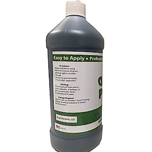 EcoColorants Green Grass Paint 32 oz(Quart)-Eco-Friendly , Made in the USA, Lawn Colorant, Turf Paint, Dye, Covers up to 1,000 square feet, Spray, (GGP1Q)