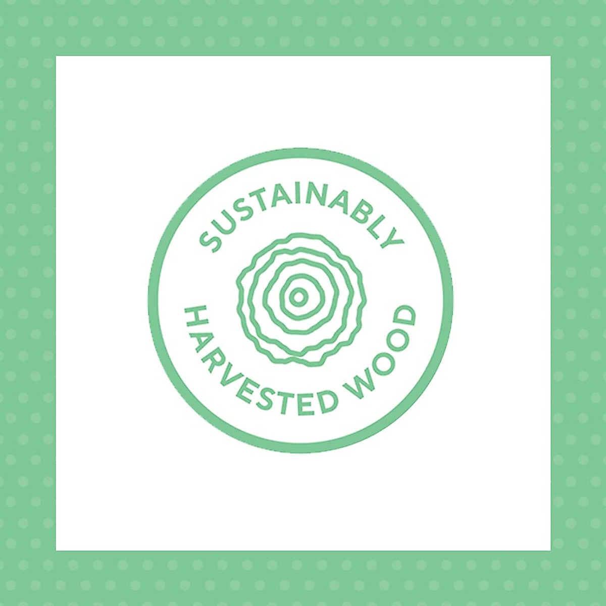 Petit Collage Musical Jumbo Wooden Xylophone