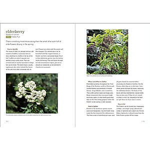 Mountain States Foraging: 115 Wild and Flavorful Edibles from Alpine Sorrel to Wild Hops (Regional Foraging Series)