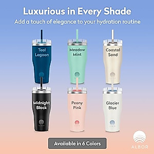 ALBOR 20 oz Insulated Coffee Tumbler With Lid and Straw, Insulated Water Bottle, Stainless Steel Tumbler, Leak Proof Water Bottle, Travel Coffee Mug (20 oz, Pink)