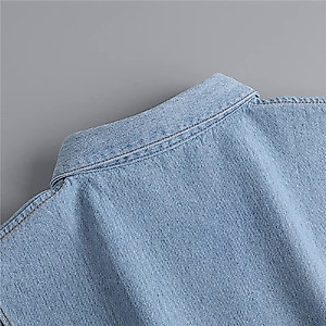 Unisex Stylish Fake Collar Detachable Dickey Collar Half Shirt Blouse Peter Pan Faux Collar Denim False Collar for Women Men (Blue)