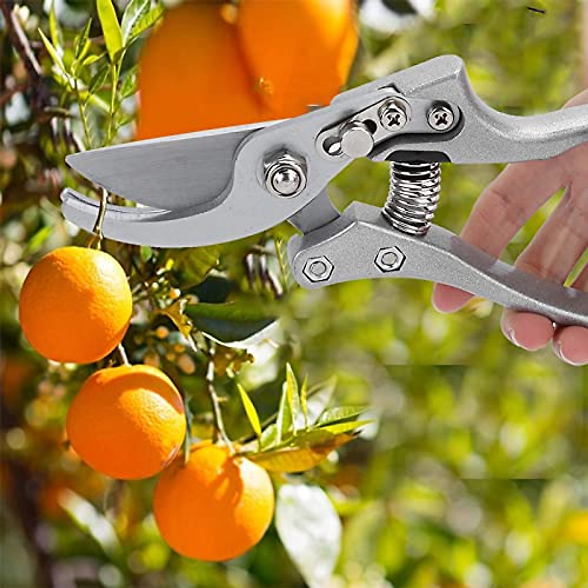 Garden Shears Hand Pruner Rust?Proof Ergonomic Handle for Indoor Plants Hydroponics Harvesting Bonsai Pruning Herbs Flowers zhengqiang