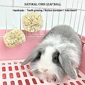 kathson Bunny Chew Toys for Teeth Grinding, Rabbit Wooden Scratch Board Feet Pad Platform Small Animals Play Toy for Guinea Pigs Chinchilla Hamsters Other Rodent Pets