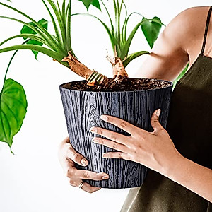 JOFAMY Thickened 8 Inch Plant Pots, 4-Pack Sturdy Plastic Planter with Drainage Holes & Saucers, Large Tree Texture Pattern Indoor Flower Pots & Outdoor Plants Decorative