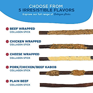 Best Bully Sticks All Natural Dog Chews - 5 Inch Braided Beef Collagen Sticks - USA Baked & Packed - Highly Digestible, Limited Ingredient, Rawhide Alternative Dog Chew - 10 Pack