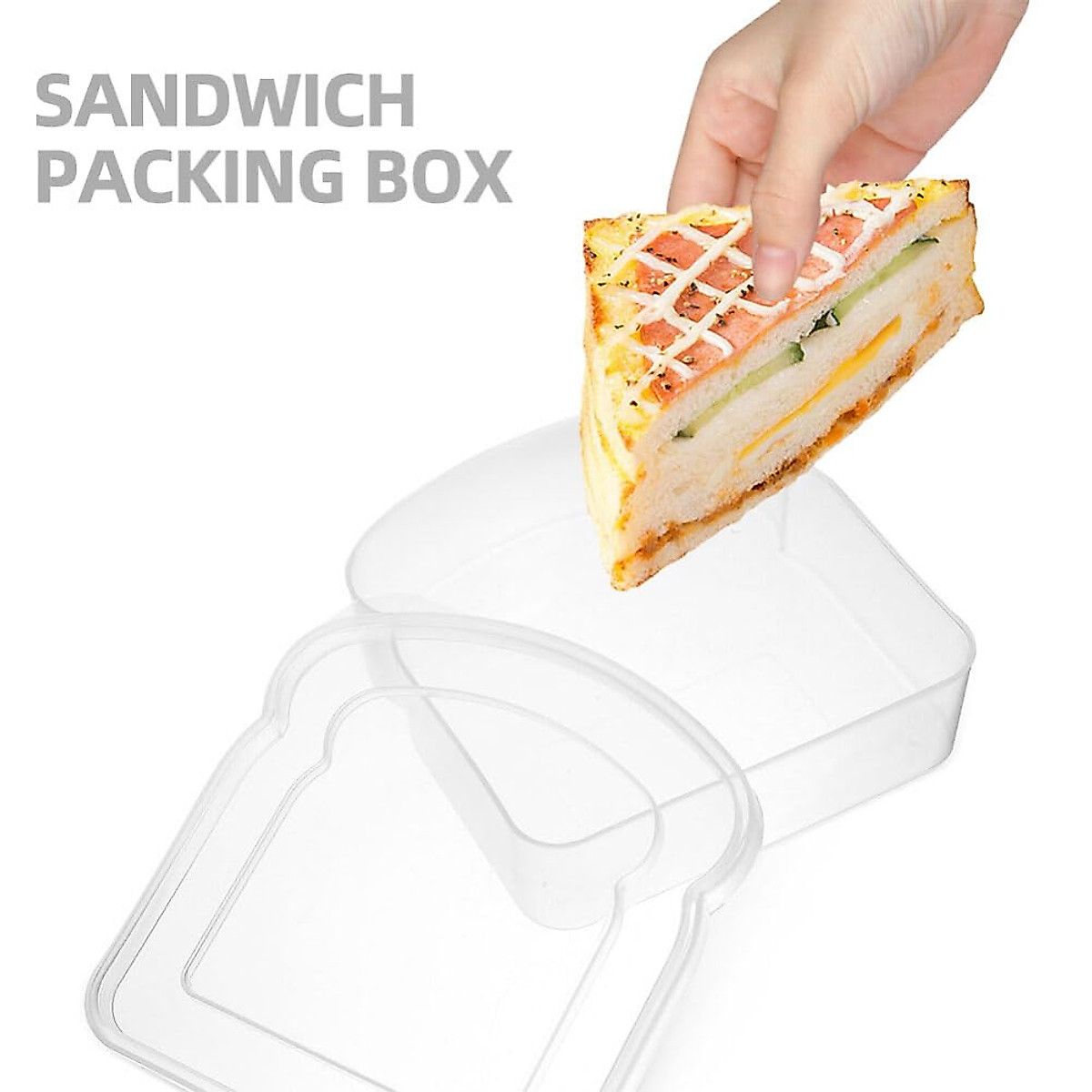 WESIEVYA 2pcs Small Sandwich Containers Clear Sandwich Box Small Bread Case Container Plast