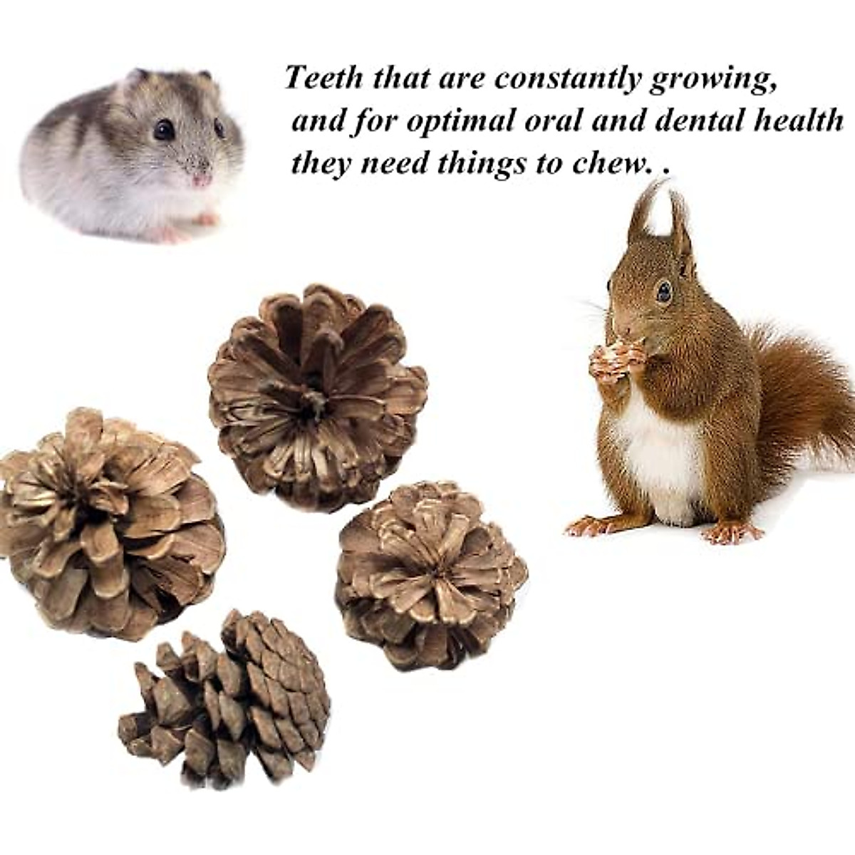 VCZONE 15Pcs Guinea Pig Toys Chinchilla Hamster Toys, Bunny Chew Toys Rat Gerbil Molar Wooden Pine Dumbells Exercise Bell Roller Fun Pet Balls Small Pets Play Toy (15 Pack)