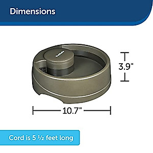 PetSafe Current Pet Water Fountain - Circulating Drinking Fountain for Cats and Dogs - Forest, Medium, 80 oz Capacity Water Dispenser - Carbon Filter Included - Easy to Clean Design