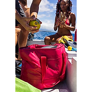 Hydro Flask Tote - Reusable Cooler Lunch Travel Bag - Waterproof, Insulated, Collapsable, BPA-Free, Non-Toxic