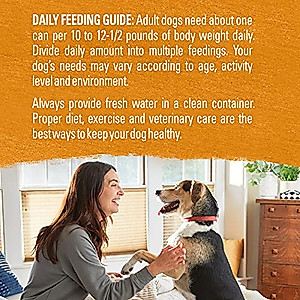 Purina Beyond Chicken and Sweet Potato in Gravy Grain Free Wet Dog Food - (12) 12.5 oz. Cans