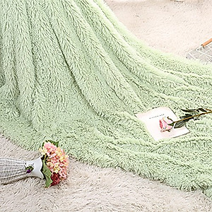 Plush Super Soft Blanket Bedding Sofa Cover Furry Fuzzy Fur Warm Throw Qulit Cozy Couch Blanket for Winter (63"x79", Green)