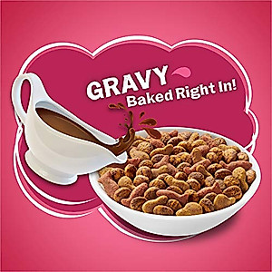 Purina Friskies Dry Cat Food, Gravy Swirlers - 22 lb. Bag