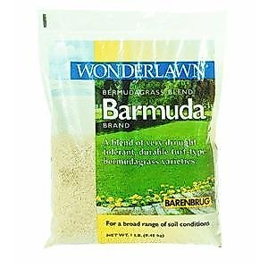 Barenbrug USA 10057 1LB BARMUDA GRASS SEED