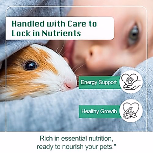 Best Bait 50 Canadian Nightcrawlers (4-6 inch) - Premium Fishing Bait or Pet Feeder - High-Protein, Nutrient-Rich Live Worms for Fishing, Reptiles, Birds & Small Animals - Ideal for Anglers