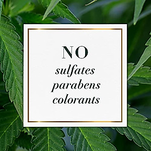 Herbal Essences bio:renew Sulfate Free Hemp + Potent Aloe Shampoo and Conditioner Set, 20.2 Fl Oz Each — Nourishes Dry Hair for Frizz Control, Paraben and Cruelty Free — Safe for Color Treated Hair