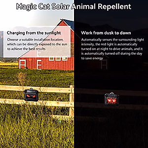 Solar Predator Control Light Nocturnal Animal Repeller Outdoor Animal Deterrent Devices Motion Activated Animal Repellent for Skunk Deer Coyote Fox Raccoon Cat Garden Yard Farm Chicken Coop (12 Pack)