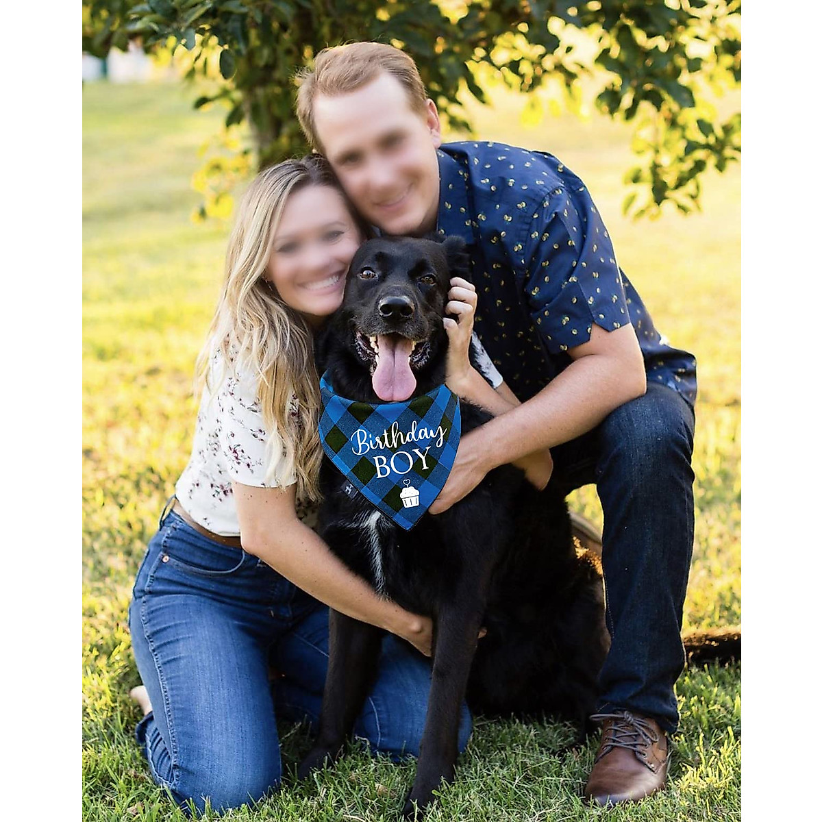 Funny Blue Plaid Cotton Pet Dog Bandana, Birthday Boy Dog Scarf Gender Reveal Photo Prop Accessories Birthday Party for Pet Dog Master Lovers Owner Gift