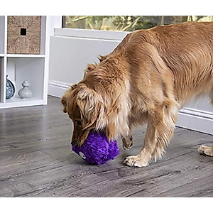 goDog Furballz Squeaky Plush Ball Dog Toy, Chew Guard Technology - Purple, Large