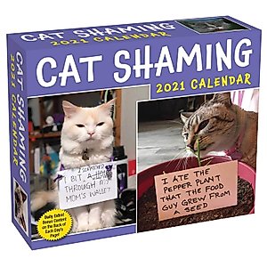 Cat Shaming 2021 Day-to-Day Calendar