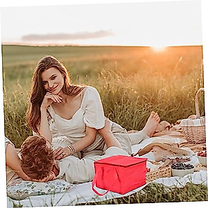 ULTECHNOVO Insulated Picnic Bag Bottle Warmer Portable Tote Lunch Bag Tote Picnic Lunch Bag Thermal Lunch Bag Insulated Bag Take-out Food Delivery Bag Pizza Insulation Bag Outdoor