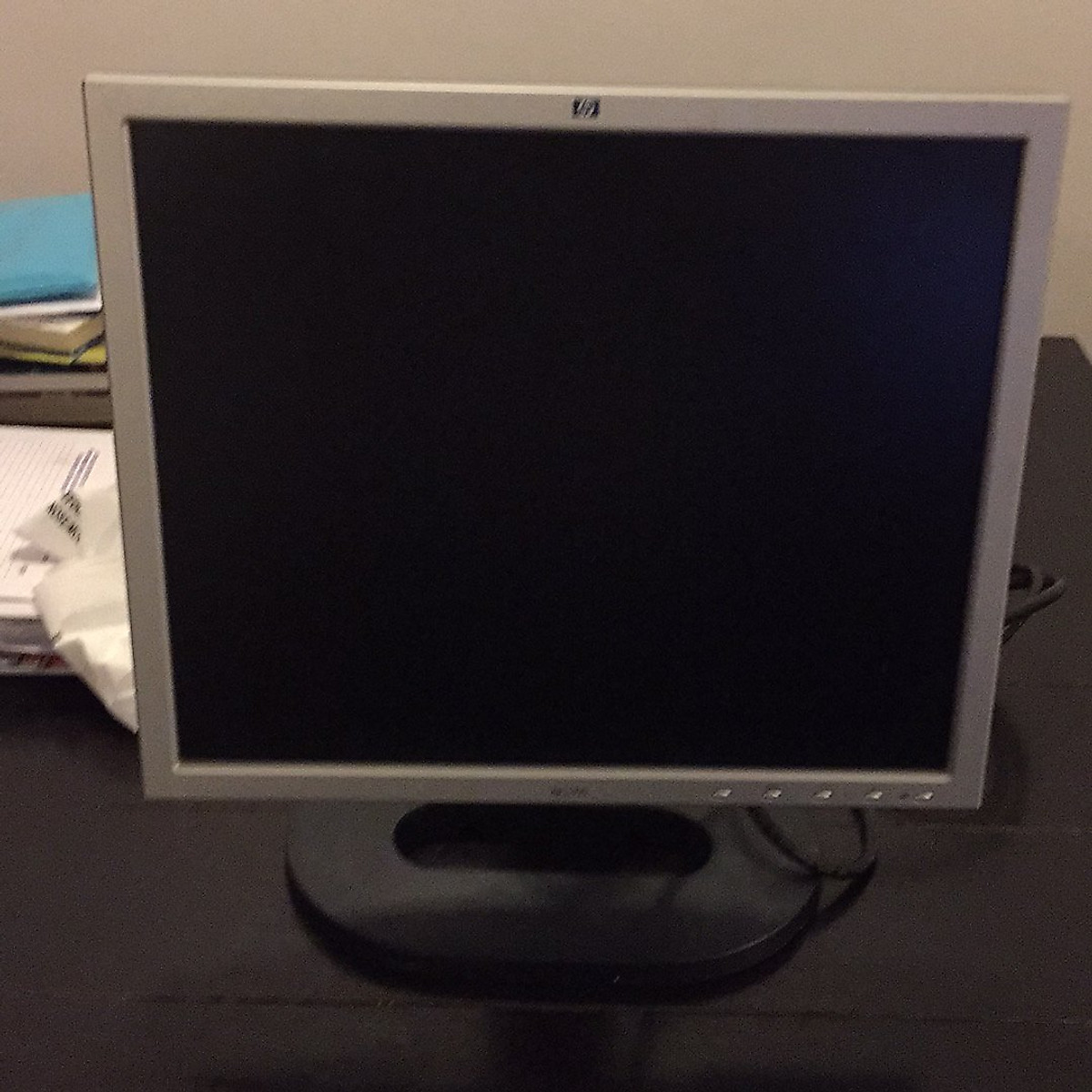 HP 19'' L1925 Flat Panel LCD
