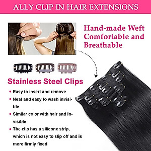 ALLY Straight Clip in Hair Extensions Real Human Hair 100% Remy Virgin Human Hair Clip ins Extensions Clip-in Hair Extensions for Women Double Weft Soft Hair No Tangles (20 Inch #1 Jet Black)