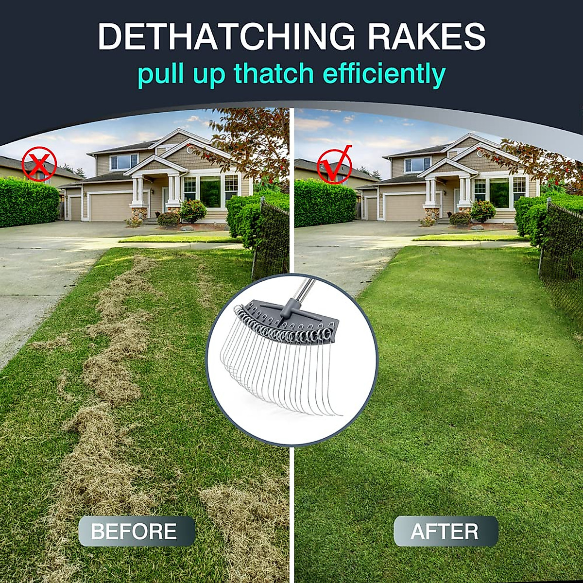 Colwelt Thatch Rake -24 Steel Tines, Dethatching Rake with 54’’ Lightweight Stainless Steel Handle, Yard Dethatcher Rake for Lawn(Pine Needles, Dead Grass, Thatch, Leaves, Mulch)