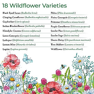 Created By Nature Tennessee Wildflower Seed Mix, Covers 325 Sq Ft, 18 Flower Varieties, Over 35,000 Seeds