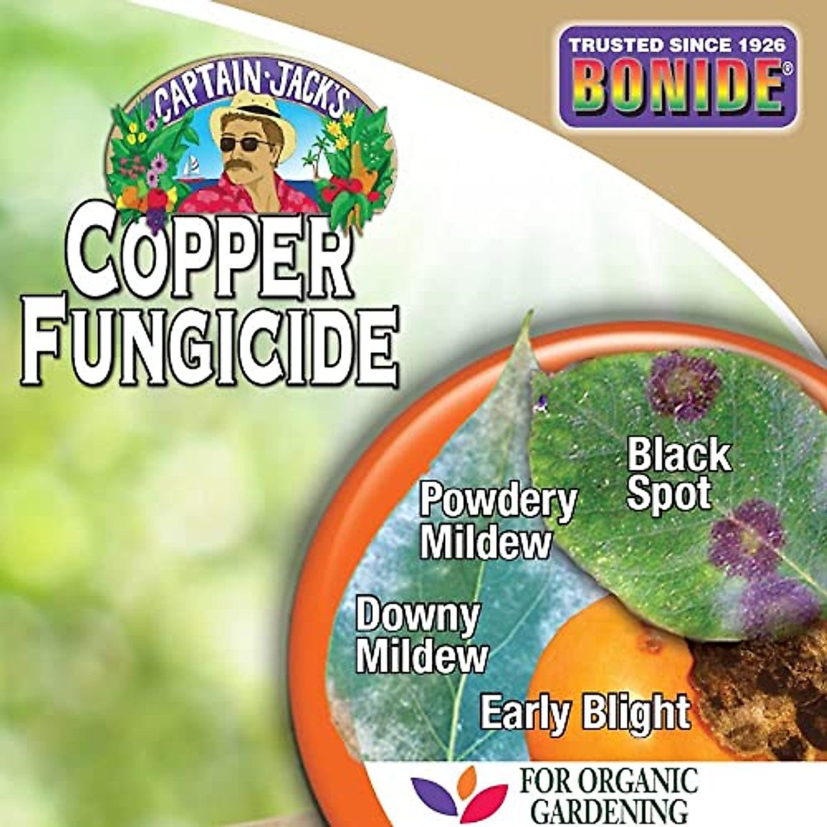 COPPER FUNGICIDE RTU QT