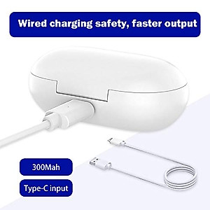 Rinetics Wired Charging Case Replacement Compatible with Samsung Galaxy Buds+ Plus SM-R175, Charger Case for Samsung Galaxy Buds SM-R170 (Earbuds not Included)