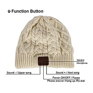BearsFire Wireless Music Beanie Hat with Bluetooth Headphones Speaker Mic Winter Warm Skull Running Knit Cap for Men Women