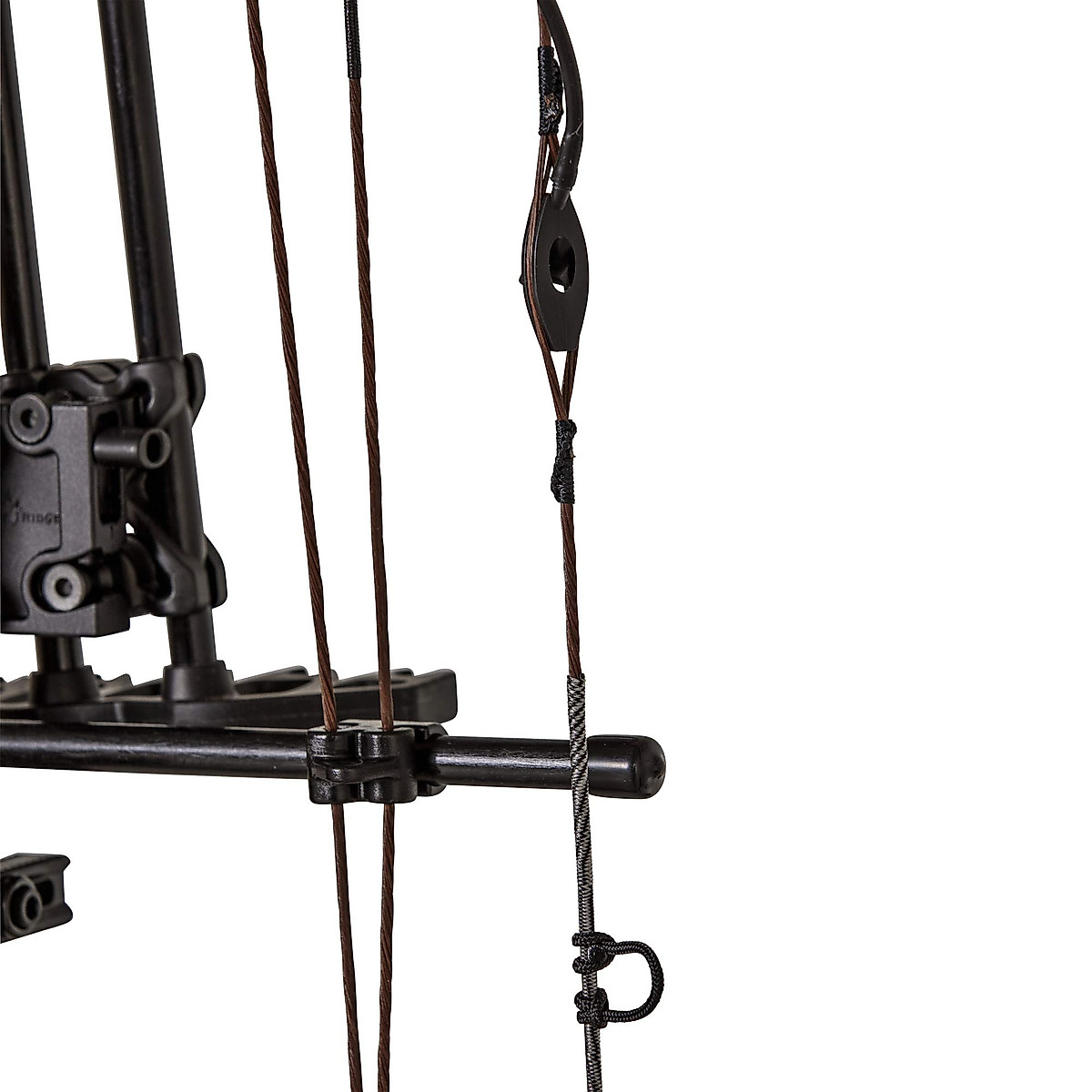 Karnage Dynamic Ready to Hunt Compound Bow in God's Country Finish with Extra Accessories (AV02X21027R)