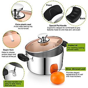 5 Qt Stainless Steel Pot with Lid, P&P CHEF 3-Ply Stock Pot for Cooking Pasta & Stewing Soup, Fits Multi Stoves, Heat-proof Handle & Clear Lid, Heavy Duty & Dishwasher Safe