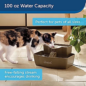PetSafe Multi-Tier Pet Fountain – Large Waterer Great for Cats and Dogs – 2 Heights to Drink From – Great for Senior Pets – 100 Oz Water Capacity – Fresh, Filtered Water