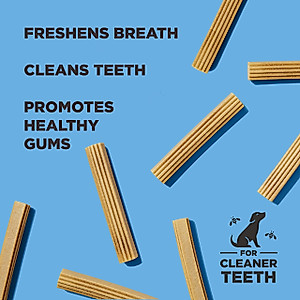 Hive Treats for Dogs 2 Pack — Healthy, Non-GMO Project Verified, Natural Peanut Butter Flavored, Natural, Vegetarian Chews, Made in The USA (Chew Sticks, Large Breeds)