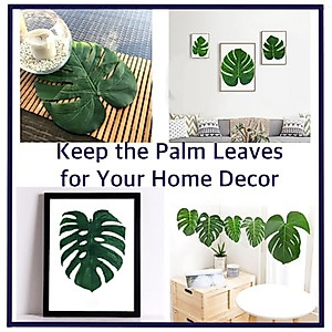 Dinosaur Party Decorations, Dinosaur Birthday Party Supplies & PDF Downloads, for Boys Girls, Dino Party Decorations with Jurassic Park Fringe Backdrop, Godzilla T Rex Balloons, 3, 4 year old (GOLD)