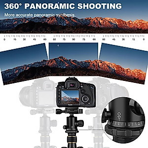 K&F Concept 64''/162cm DSLR Tripod,Lightweight and Compact Aluminum Camera Tripod with 360 Panorama Ball Head Quick Release Plate for Travel and Work B234A1+BH-28 (TM2324)