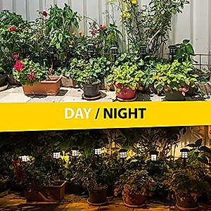 Zone Tech Outdoor Solar Powered Light – LED 12 Pack Bright Premium Quality Rain-Proof Walkway Path Patio Yard Lawn Garden LED Lamp (12 Pieces)