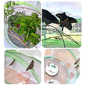 Trasfit Pop-up Insect and Butterfly Habitat Cage Terrarium – 12 x 14 Inches Tall