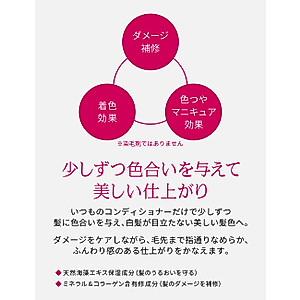 PRIOR Priaulx Color Conditioner N Dark Brown 230g