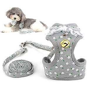 Lace Trim Collar Bell Girls Small Dog Vest Harness and Leash Set for Walking Escape Proof Kitten Cat Harness No Pull Soft Mesh Padded Adjustble Puppy Summer Clothes,Grey Flowers,Medium