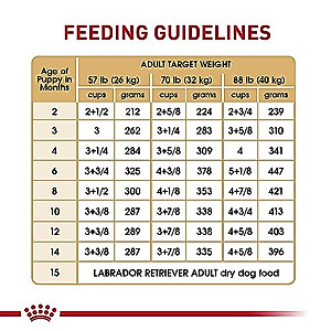 Royal Canin RCBHN Lab Puppy & Large Puppy Wet Dog Food