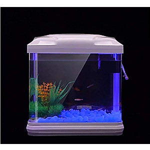 Oubest Fish Tank Rocks Glow Blue/Glow in The Dark Pebbles for Garden/Fish Tank/Aquarium/Plant Pots/Bonsai Walkway/Driveway 100pcs